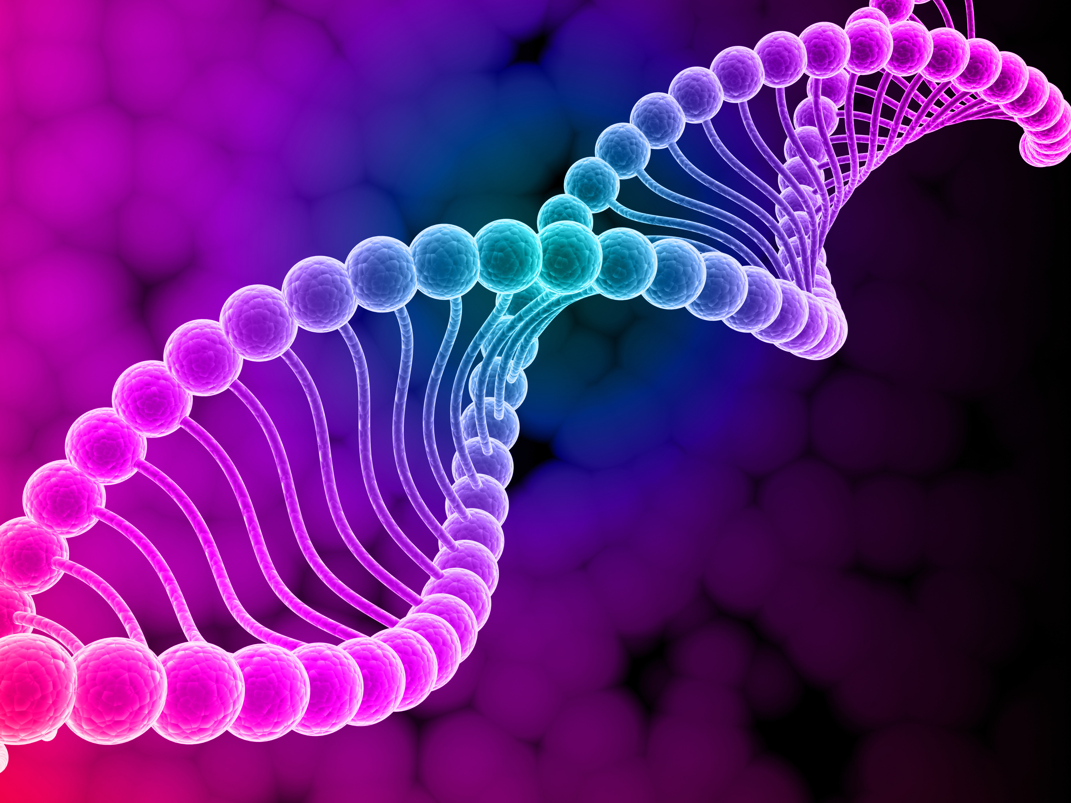 Etats généraux de la bioéthique : enjeux et formation - Diocèse de Vannes